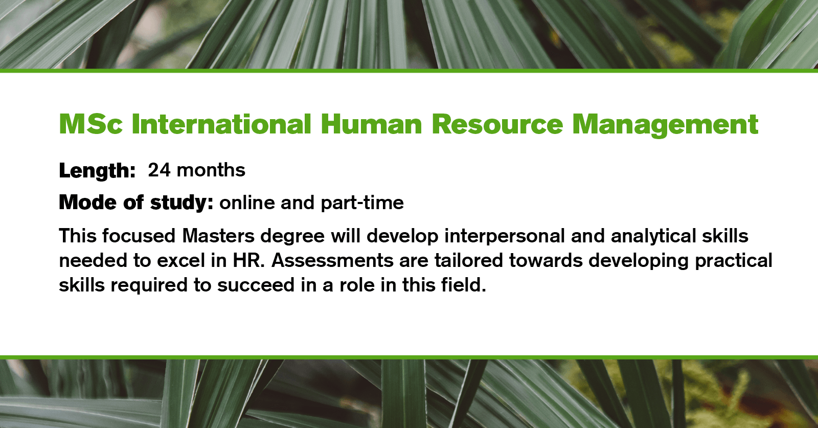 MSc International Human Resource Management | Essex Online