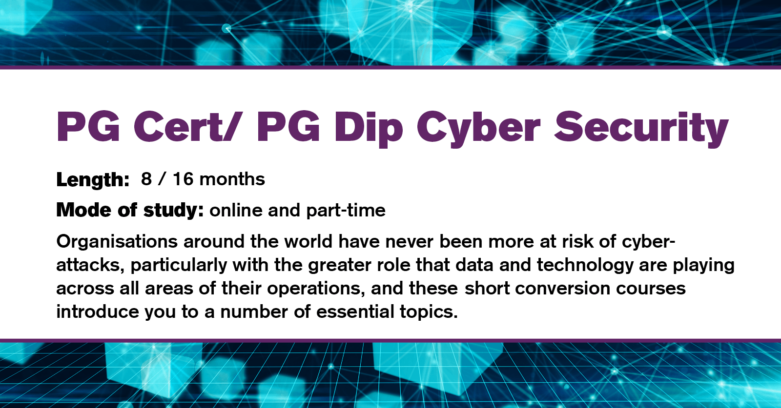 PG Dip Cyber Security Online UK | University of Essex Online