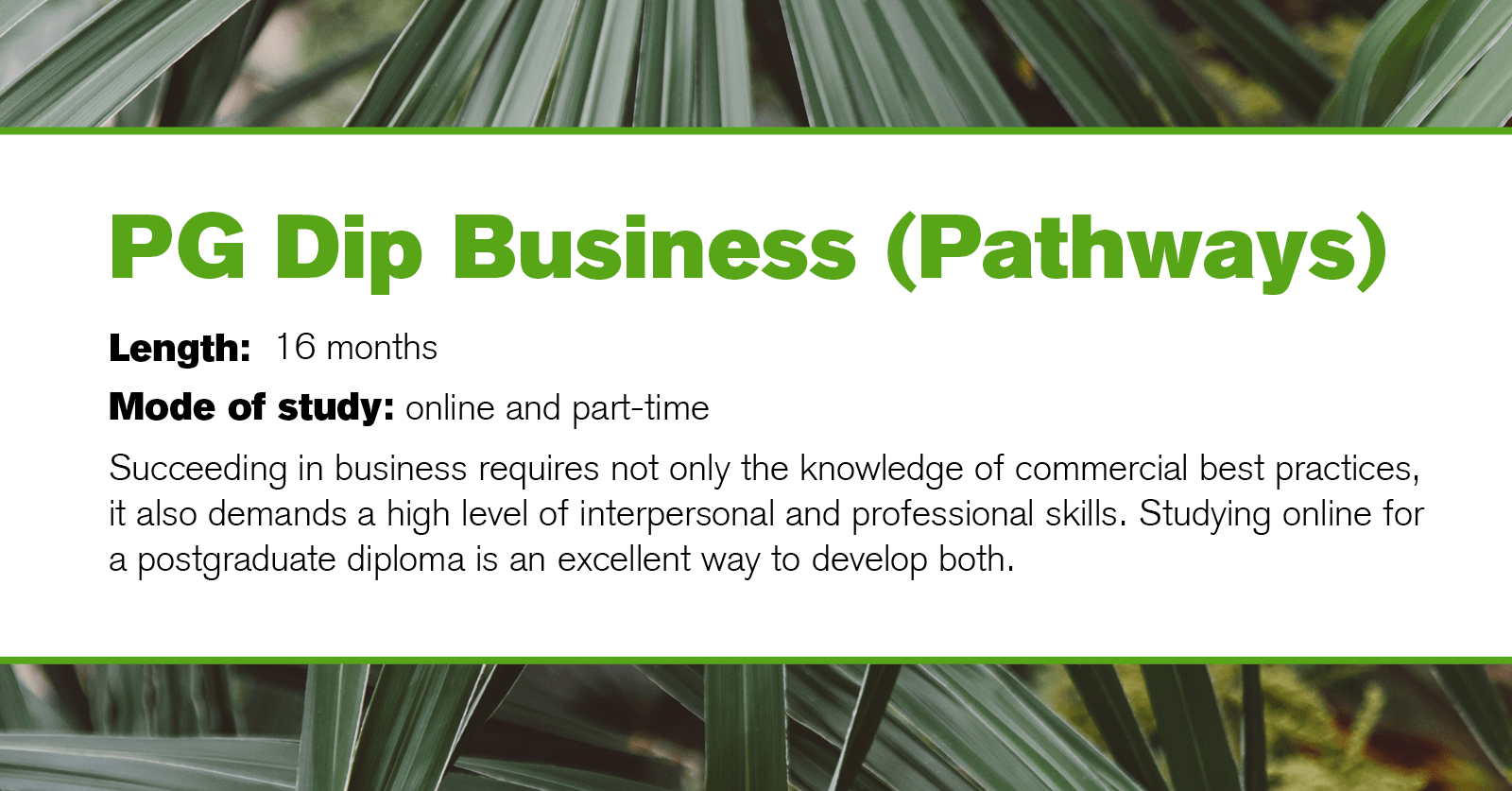 PG Dip Business with Finance | University of Essex Online