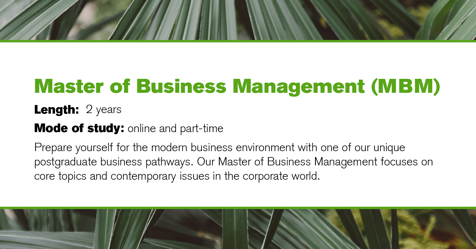 Online MBM Master of Business Management | University of Essex Online