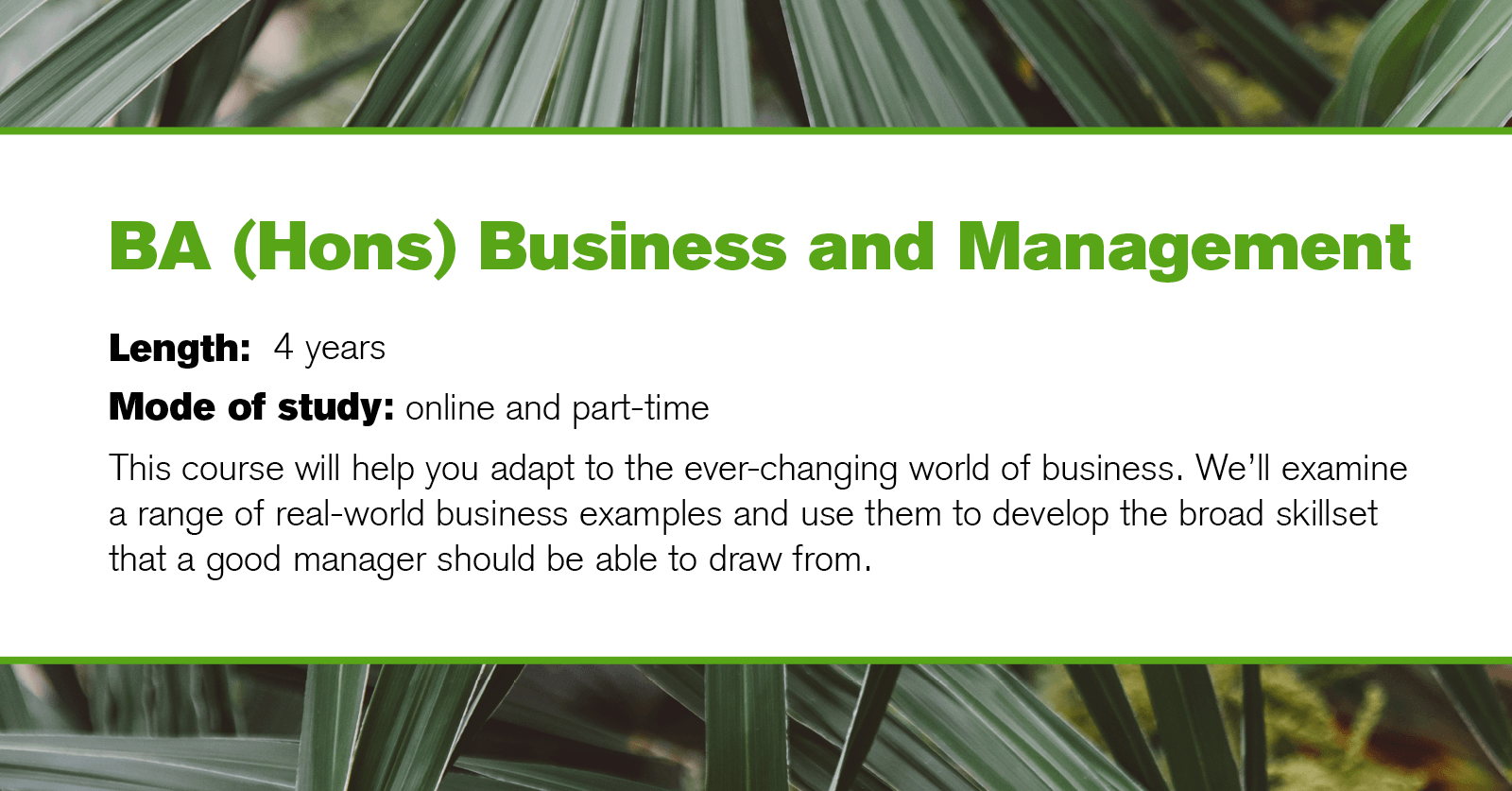 BA (Hons) Business and Management | Online Degree | University of Essex ...