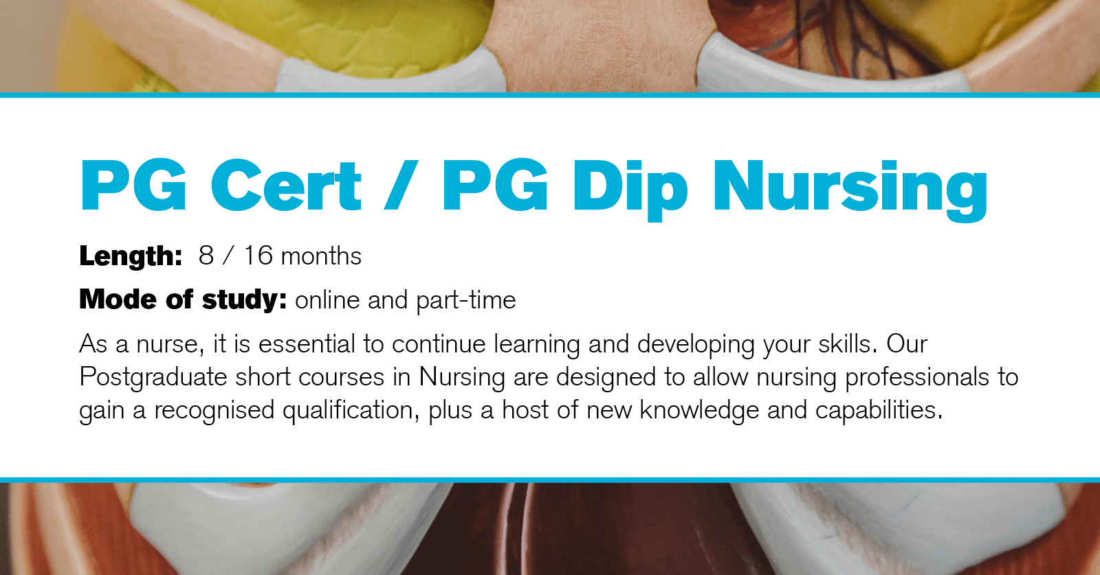 PG Dip Nursing Online UK | University of Essex Online