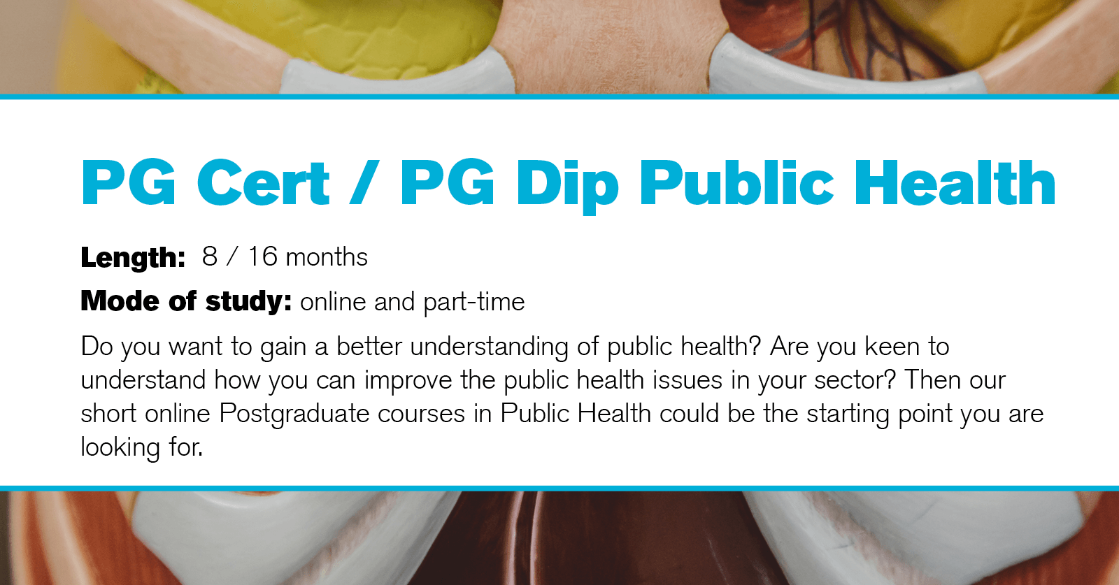 PG Dip Public Health Online UK | University of Essex Online