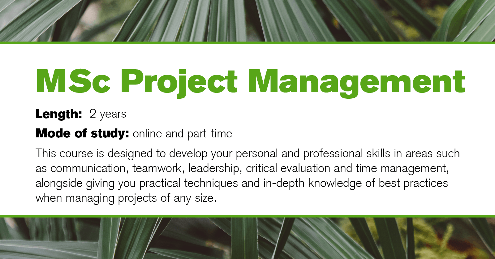 MSc Project Management UK | Online Degree | Essex Online