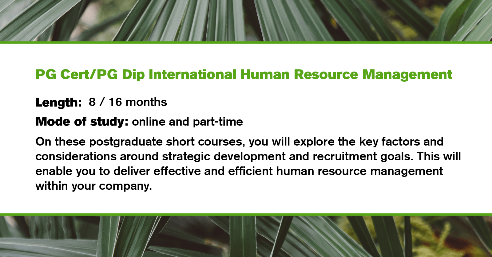 PG Dip International Human Resource Management | Essex Online