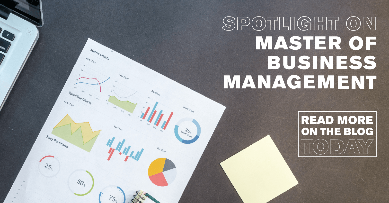 Spotlight on Master of Business Management | University of Essex Online