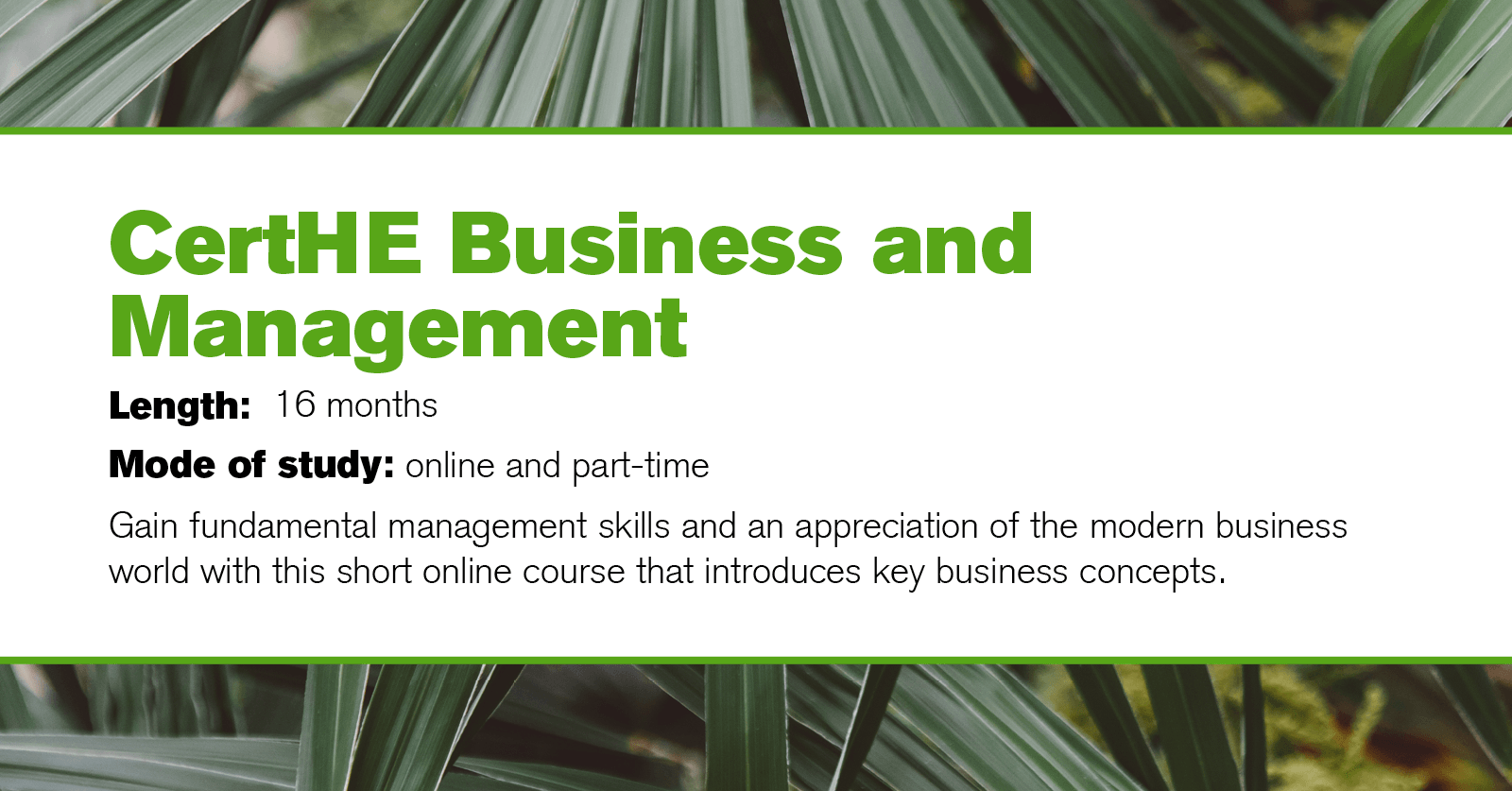 CertHE Business and Management | Business | University of Essex Online