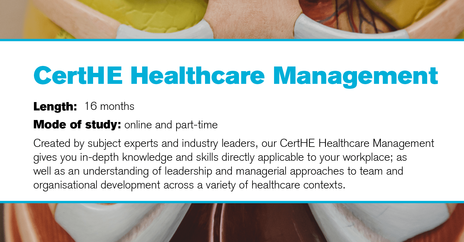 CertHE Healthcare Management | University of Essex Online
