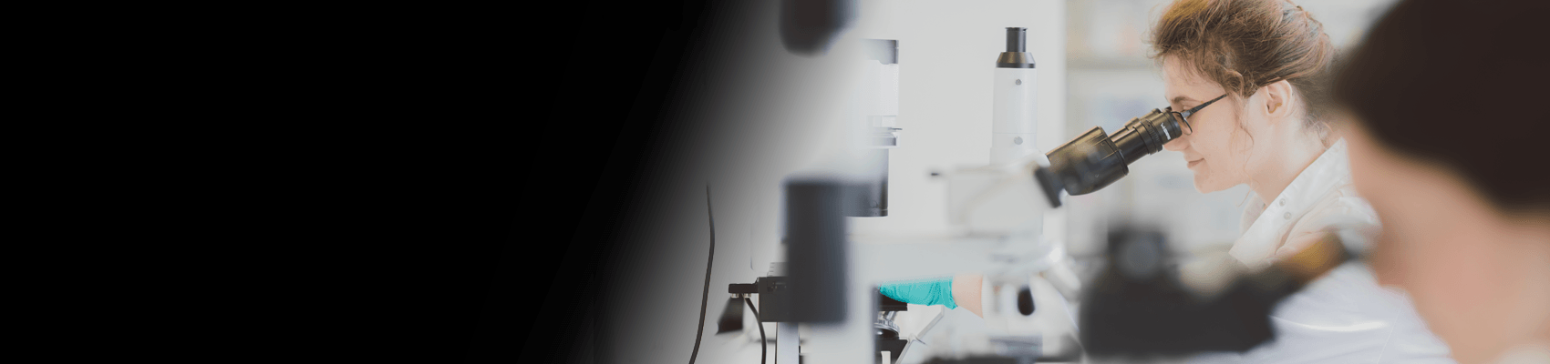 Online Master of Public Health | Online MPH | University of Essex Online